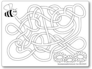 Les labyrinthes du printemps : abeilles, grenouilles, libellules