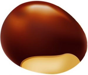 Que faire avec des marrons en maternnelle ? Activités sur les marrons ...