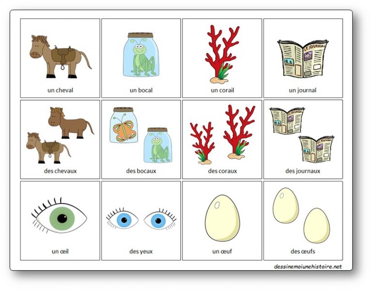 Jeu sur le pluriel irrégulier des noms, Jeu de mémory des pluriels ...