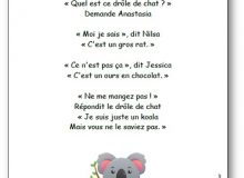 La java des koalas, une chanson de Dominique Dimey - Paroles illustrées