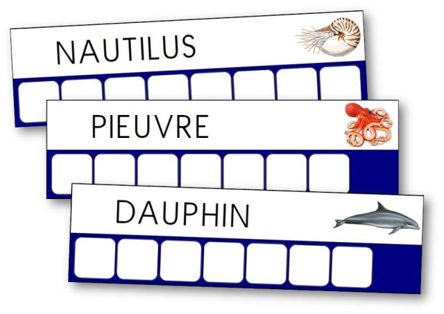 Mer, poissons et fonds marins en maternelle : activités, jeux et ressources