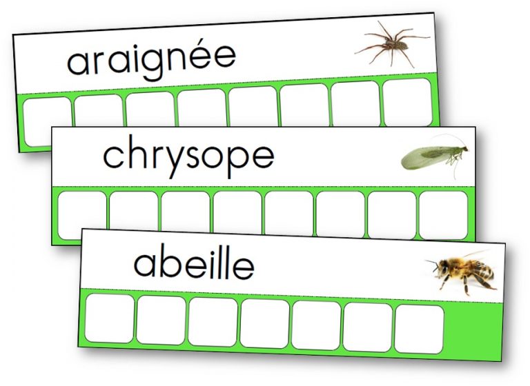 L'atelier des mots des insectes et des petites bêtes du jardin