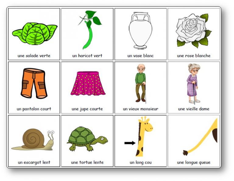 Jeu de mémory des adjectifs féminins et masculins - Féminin et masculin ...