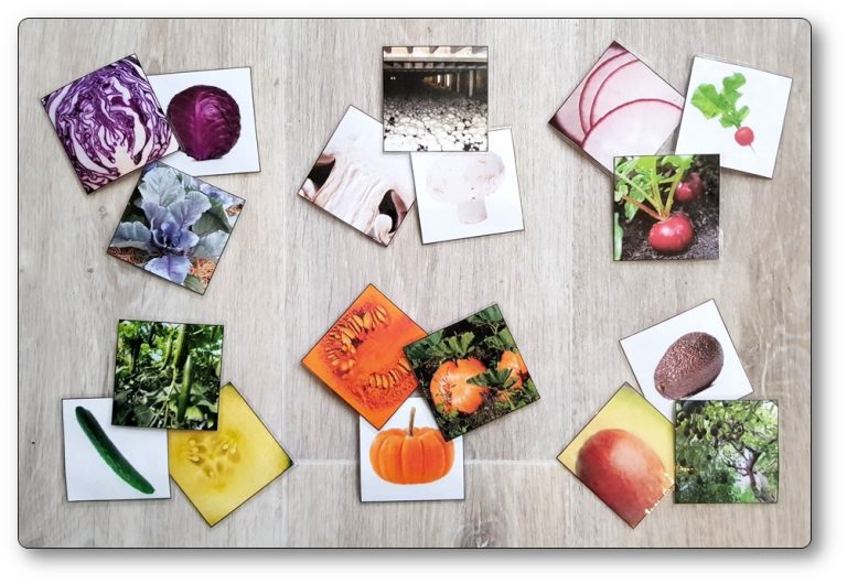 Jeu de mémory des fruits et légumes : détails et plantations. Mémory ...