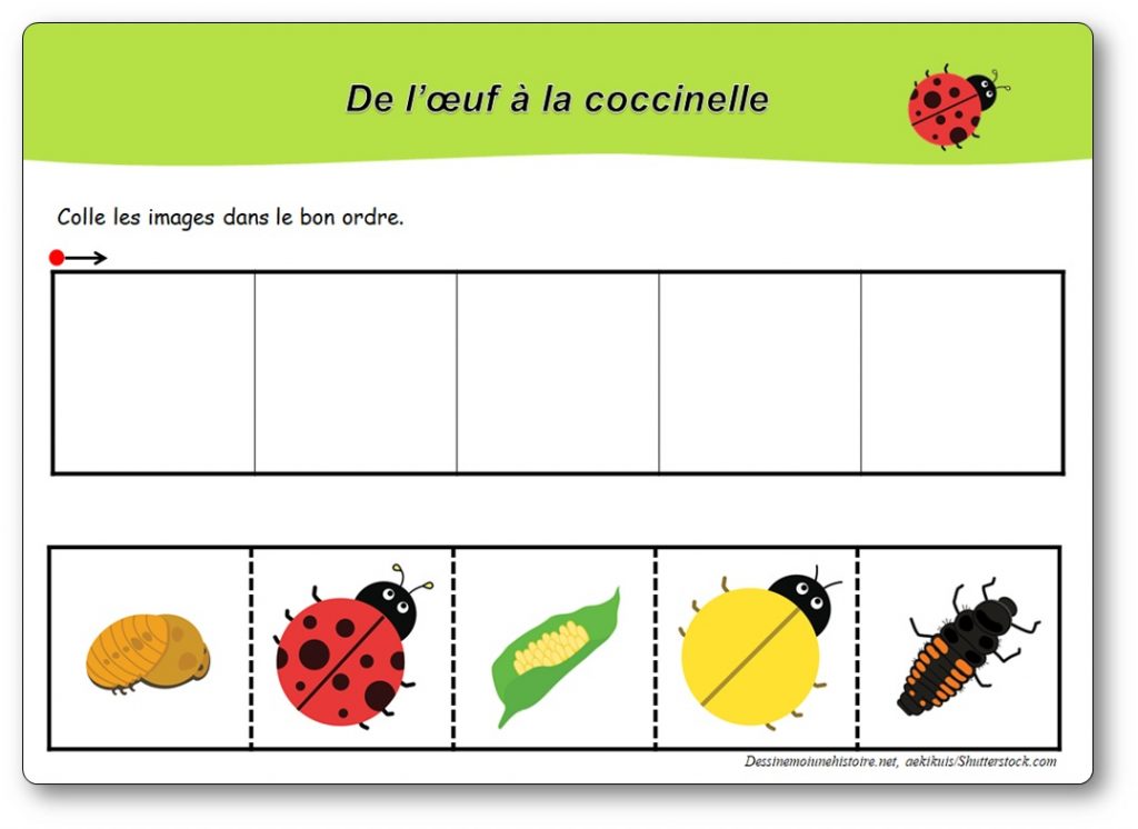 Les Coccinelles Maths Cm1 – Calcul GS CP CE1 : Fiches opérations – JZGQBD