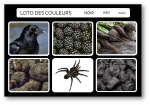 Le loto des couleurs - Jeu pour s'initier aux couleurs en maternelle