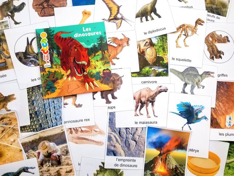 L'imagier des dinosaures à imprimer - Imagier des dinosaures à l'école