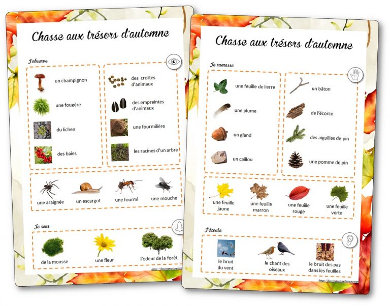 Fiches pour organiser une chasse aux trésors d'automne dans la forêt ...