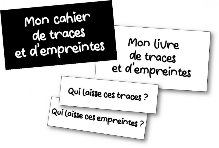 Le livre de traces et d'empreintes en maternelle - Petite Section