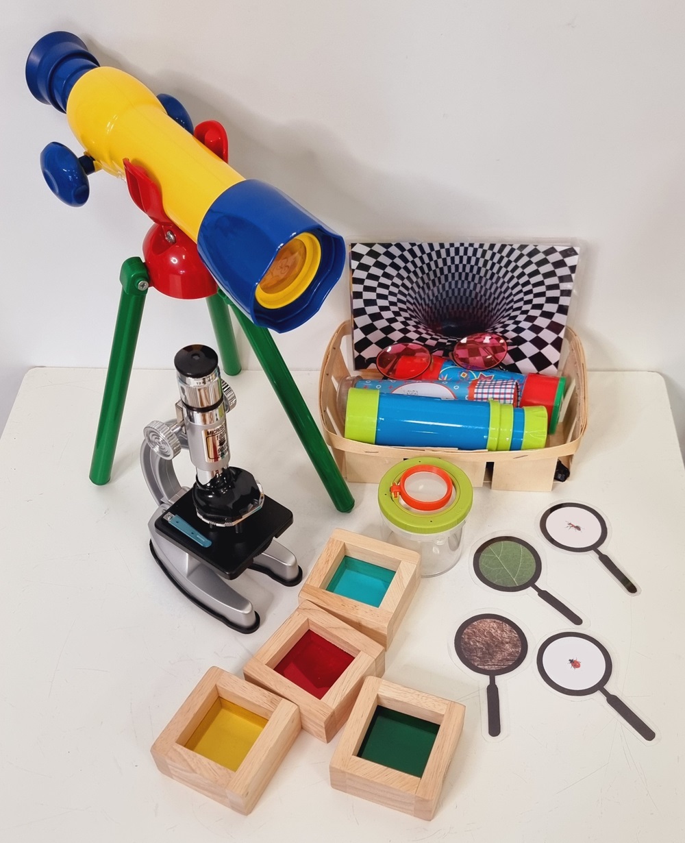 Jeu de la loupe : les coquillages pour observer et comparer en maternelle